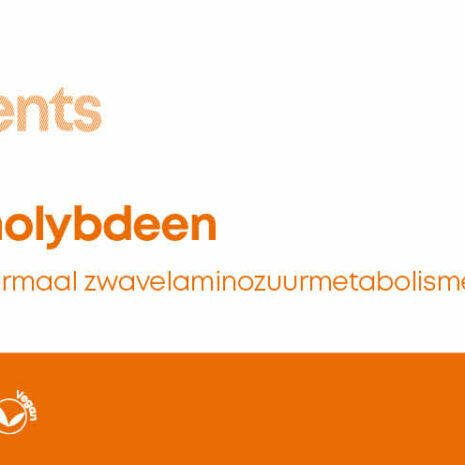 MSM molybdeen - Darmklinique